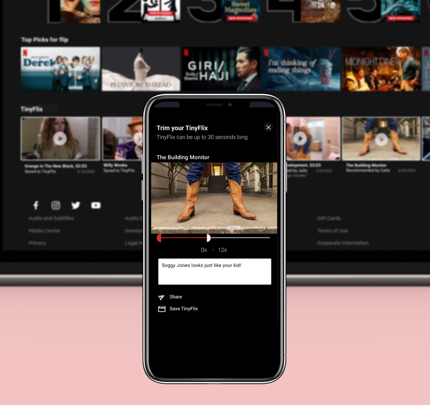 Flip Frisch Portfolio - TinyFlix